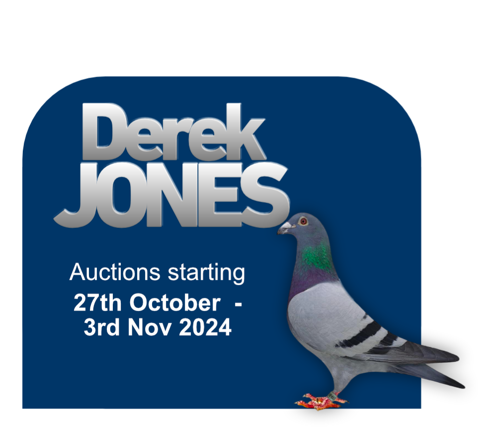NPH Pigeons.com - Quality racing pigeon auctions