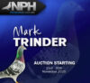 NPH Pigeons.com - Quality racing pigeon auctions